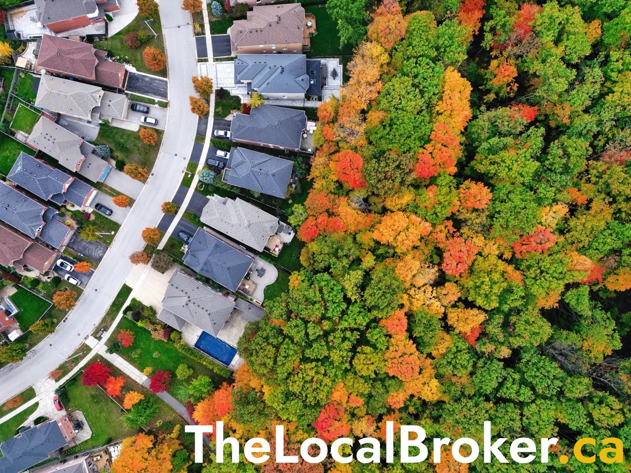 Expert Mortgage Advice, Personal Finance Tips, & Free Calculators - The ...